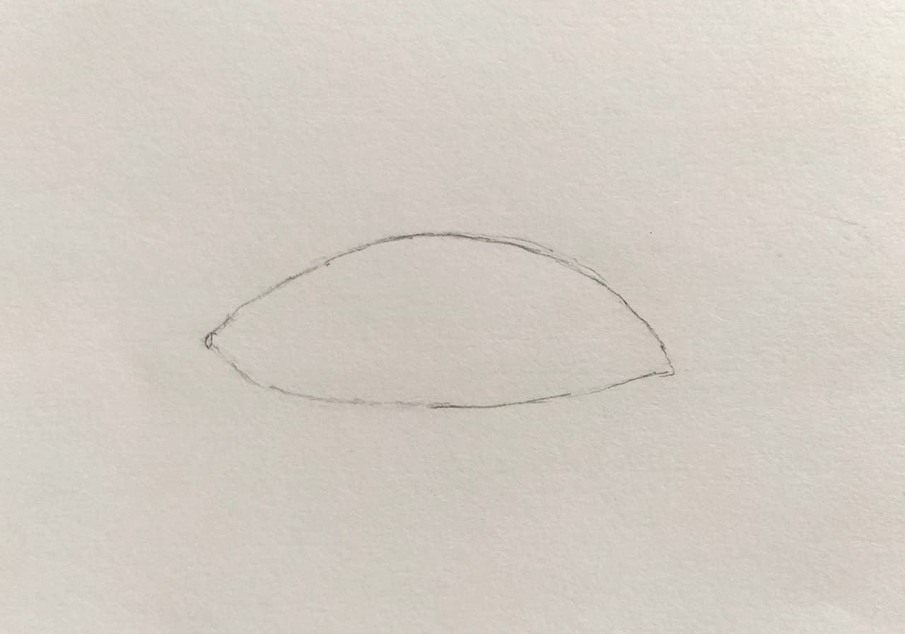 How To Draw A Realistic Eye With Pencil 11 Steps | The Ravi arts